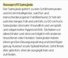 Samojeden Welpen in Tann (Hessen) // Snautz.de