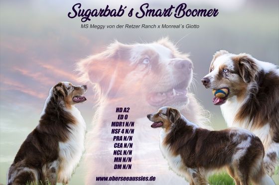 Sugarba´s Smart Boomer in Speinshart (Bayern) // Snautz.de