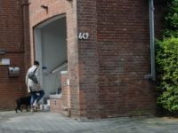 Was hilft bei durchfall katzen Tiermarkt Snautz